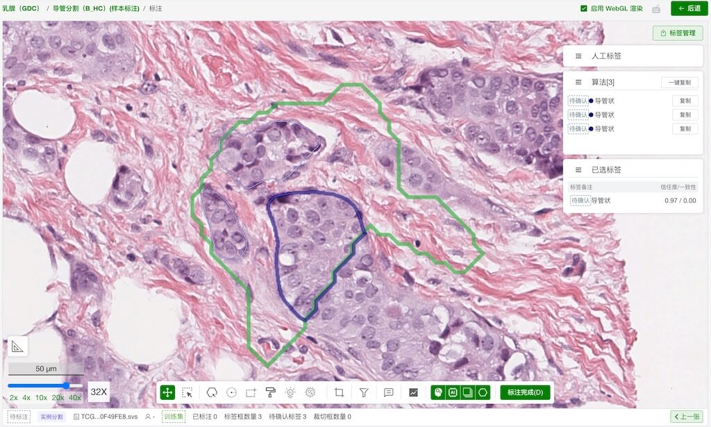 Medipath